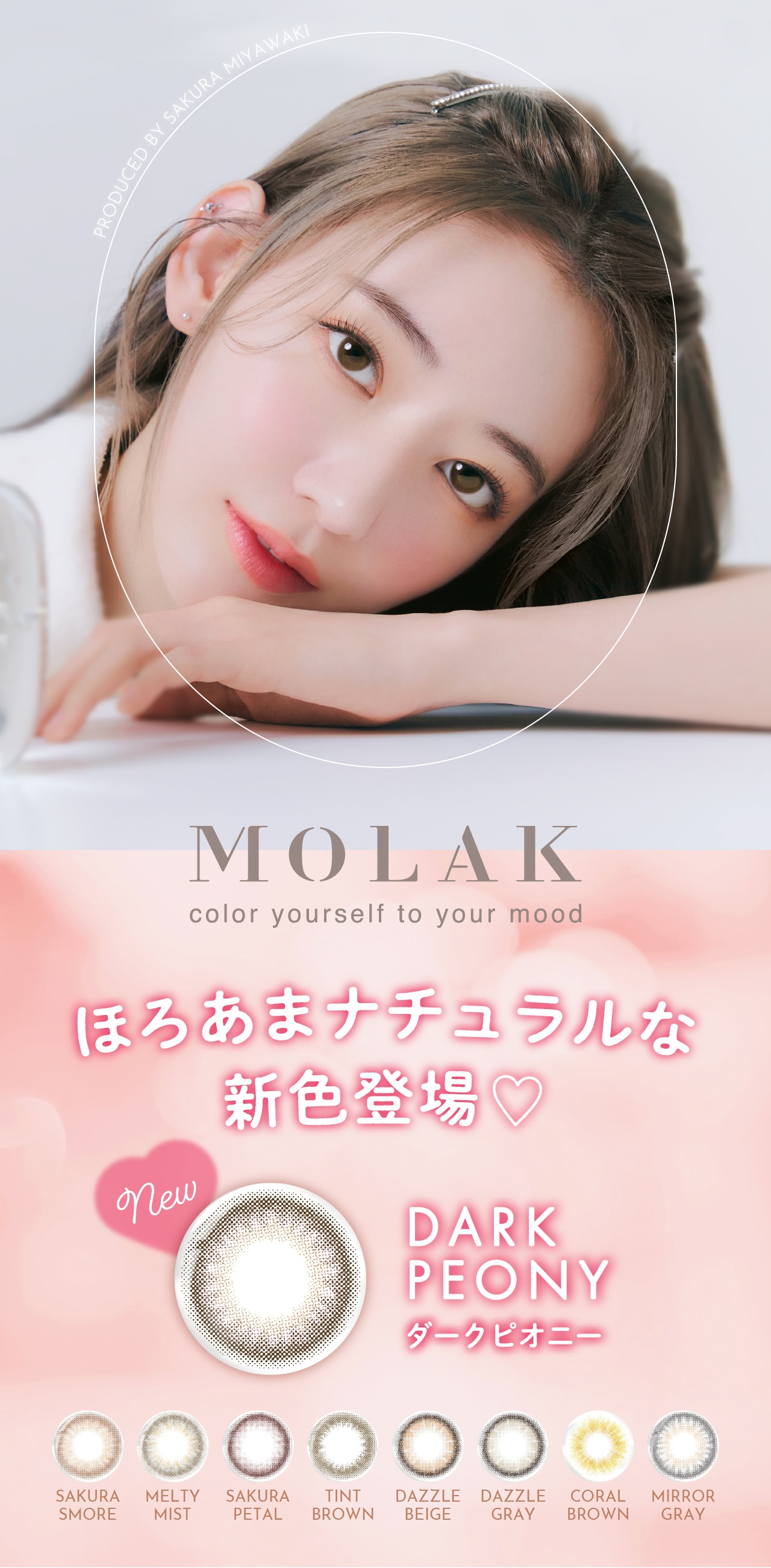 【ダークピオニー】MOLAK 1day モラク ワンデー 10枚[pia]