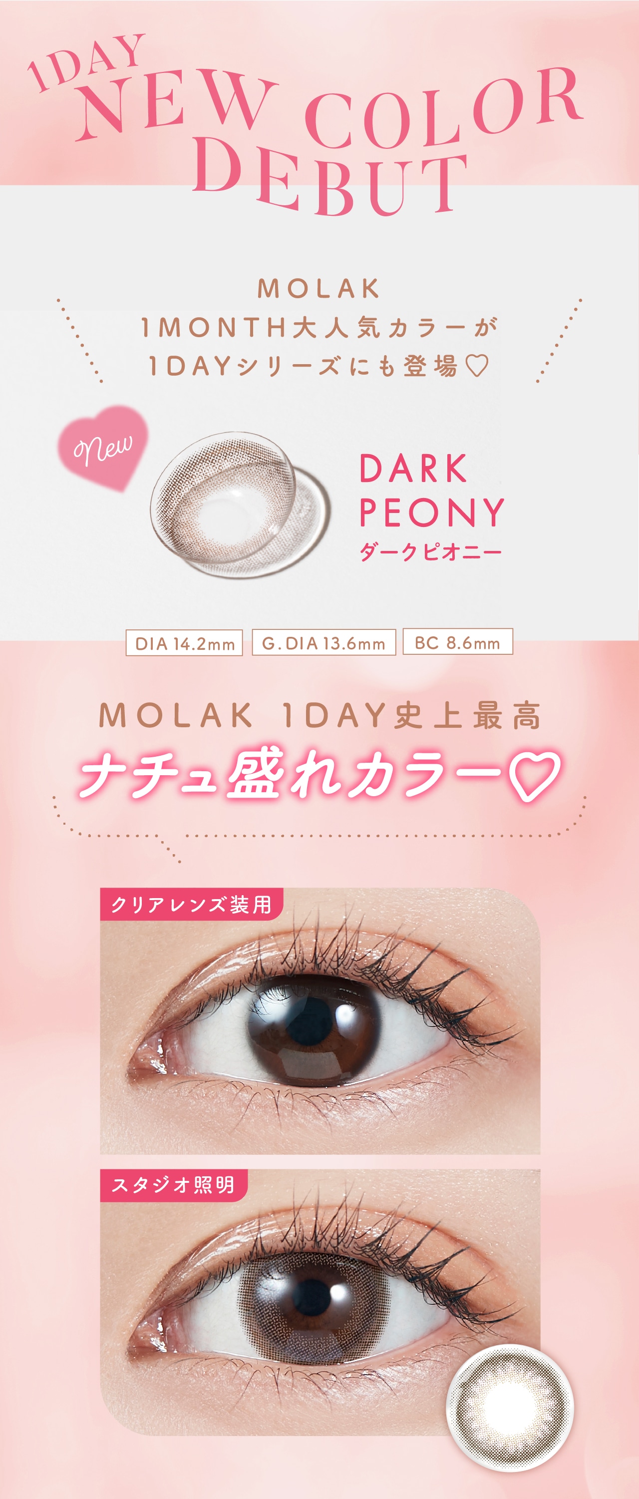 【サクラペタル】MOLAK 1day モラク ワンデー 10枚[pia]